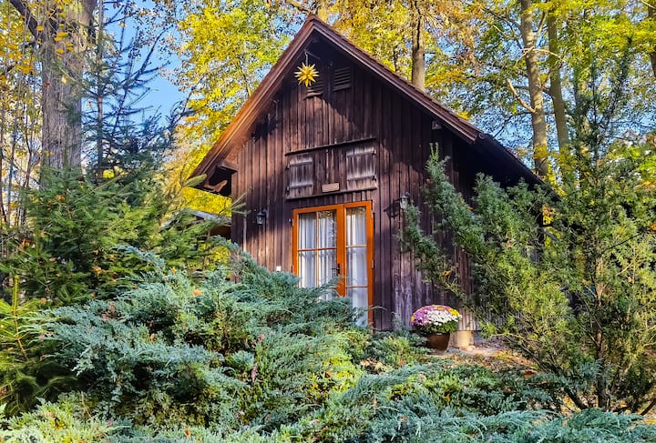 Reichsteinhütte Mit Finnischer Blockhaussauna - Sachsen