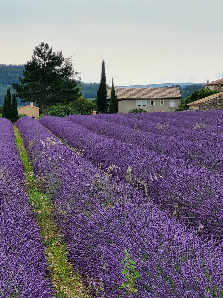 La Grange Des Joumillons-piscine-climatisation - Saint-Saturnin-lès-Apt