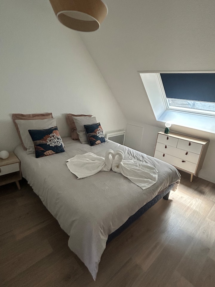 Beau Duplex En Centre Ville Historique - Troyes