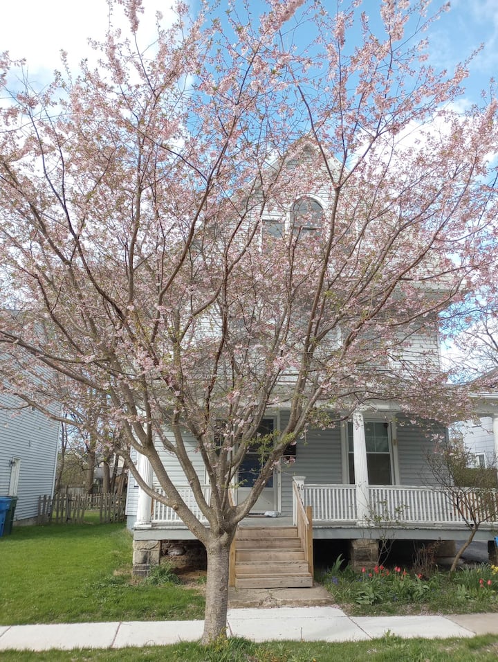 Home For Travel Professionals - Rochester, NY