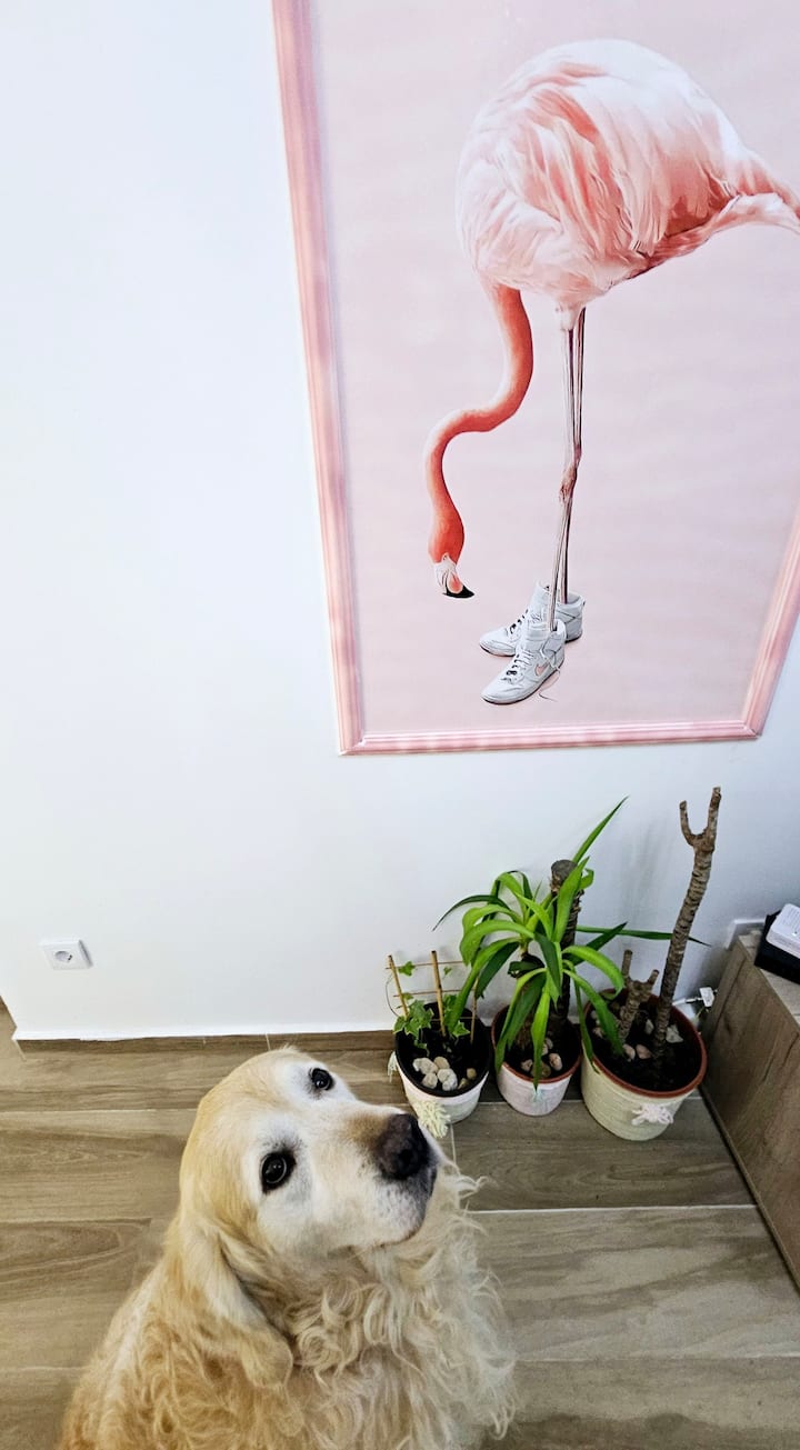 Boutique Apartman Dora Flamingo - Budva