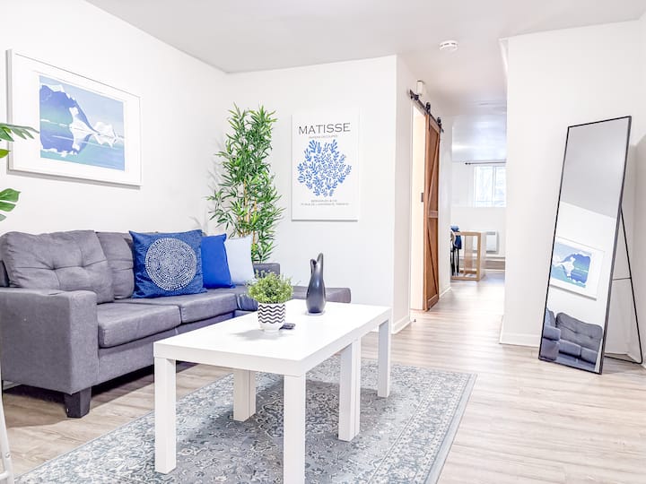 Modern Room - Hochelaga - Montreal