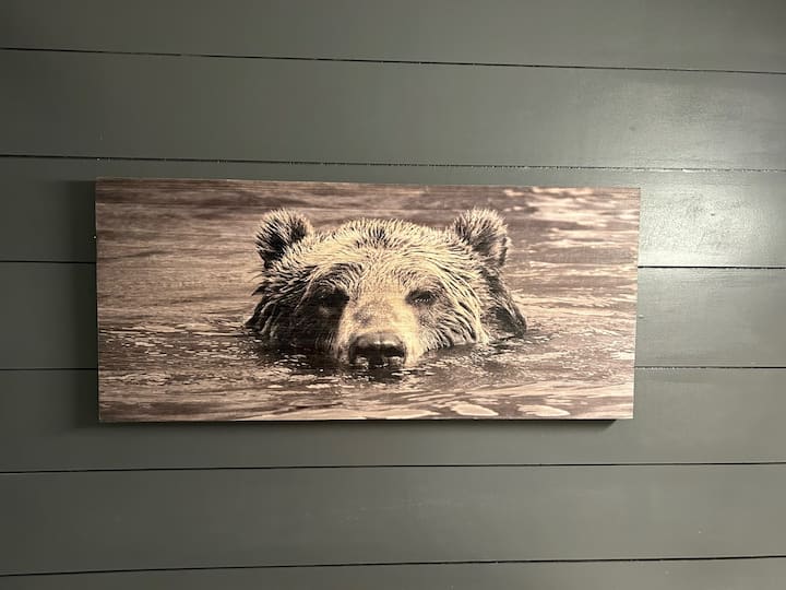 Newly Remodeled Two Queen Hotel Room - Granby, CO