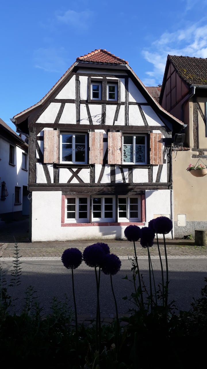 Gîte Les Hirondelles - Maison Typique - Sélestat
