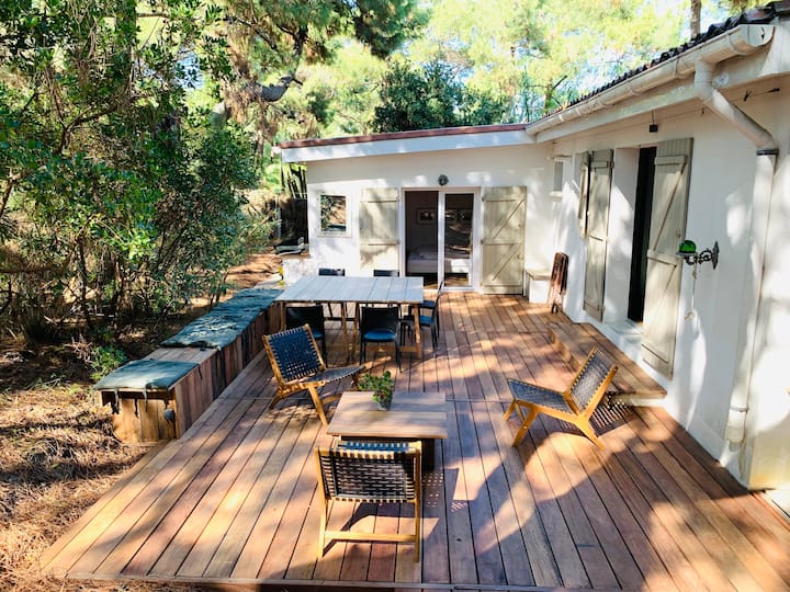 Grande Villa Pointe Du Cap Ferret - Lège-Cap-Ferret