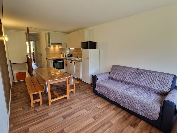 Appartement Avec Vue Sur La Montagne - La Mongie