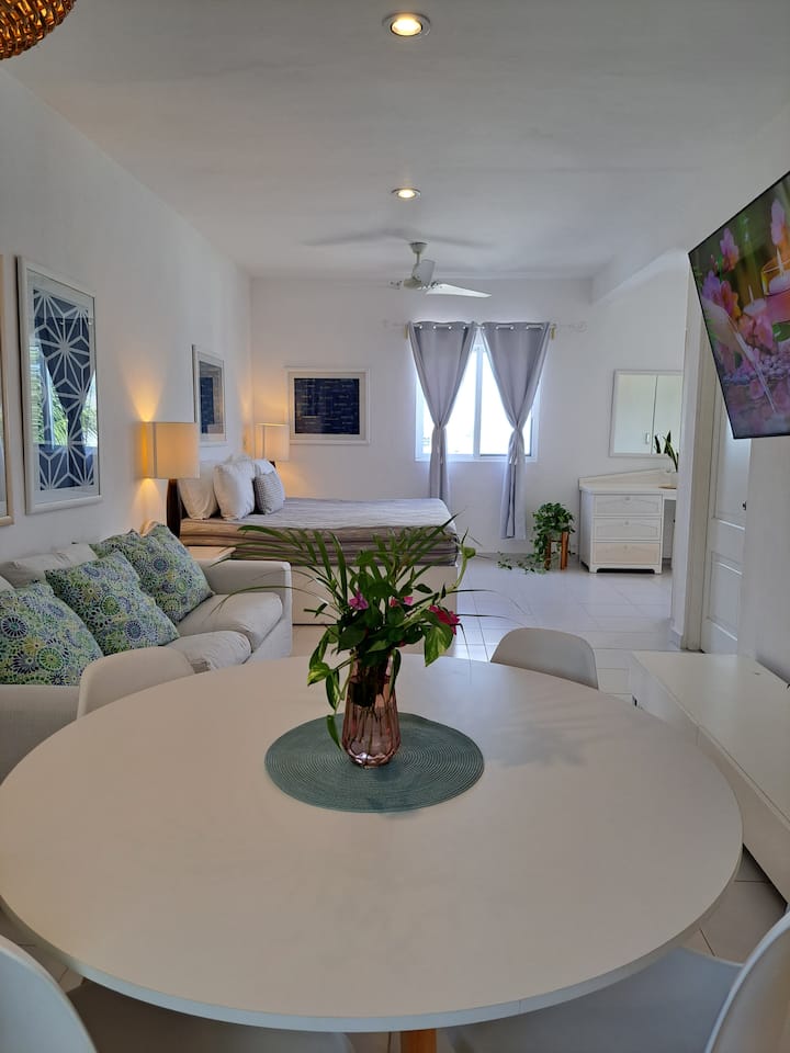 Cozy Ph W/ Private Rooftop & City Views - Playa del Carmen