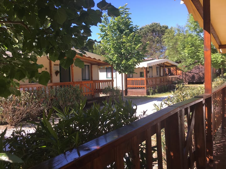Familie Huisje In Toscane, Aan Het Strand - Viareggio