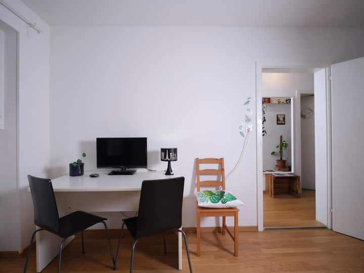 Doppelzimmer In Der Nähe Des Flusses Und Stadions - Basilea