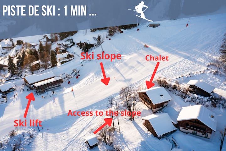 Chalet Luxe Xxl : Piscine, Ski Au Pied, Cinéma - France