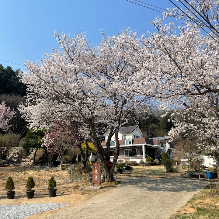 Aureum Stay #Everland 15 Min - 포곡읍