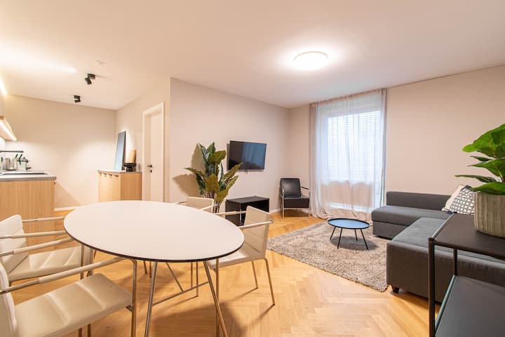 Neue Renovierte Wohnung/zentrum - Leonding
