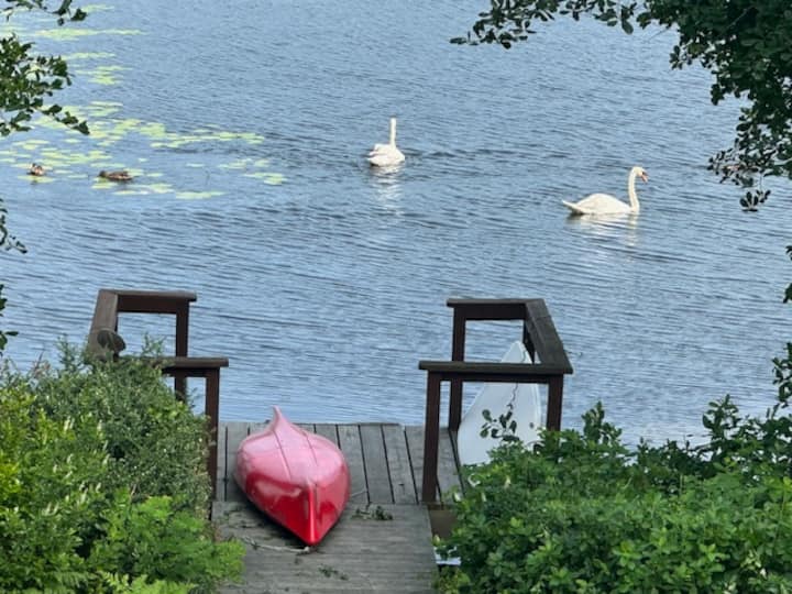 Spacious House On Long Pond - Kayaks - Dennis, MA