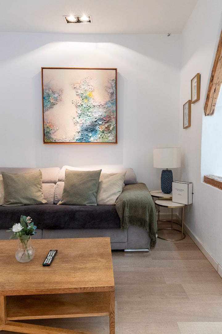 Cava Baja Ii Céntrico Y Luminoso - Madrid