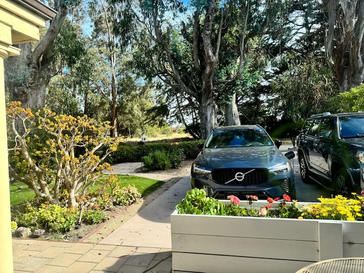 On The Amazing Lighthouse Park And Beach - Santa Cruz, CA