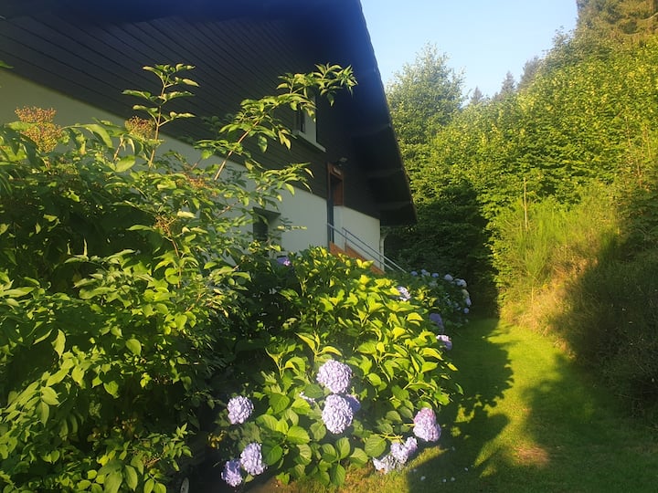 Appartement Idéalement Situé En Montagne - Vosges