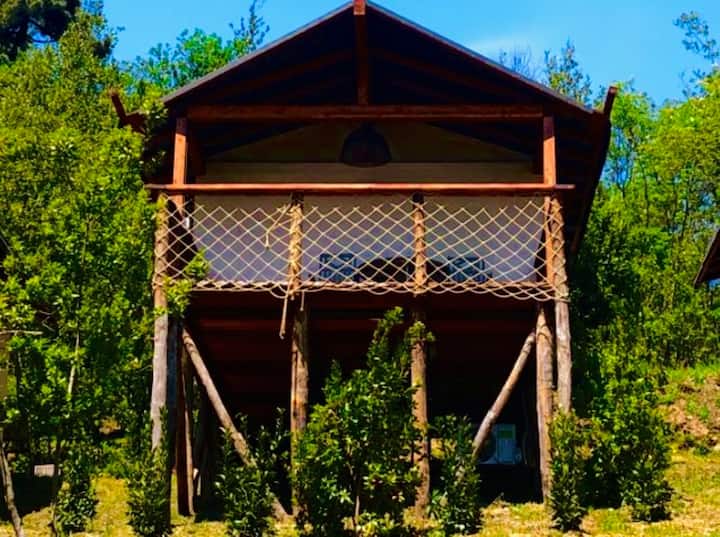 Agriglamping La Diaccia Tenda Su Palafitta - Tuscany