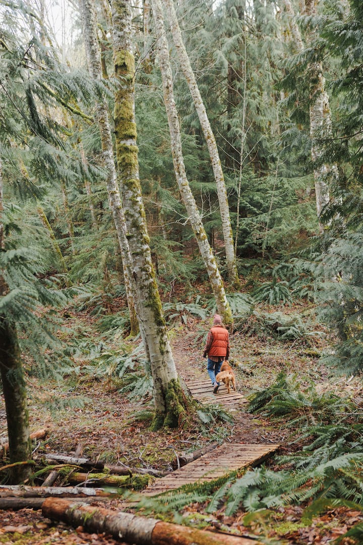 The Loam Hideaway: A Backyard Of Forest - Bellingham, WA