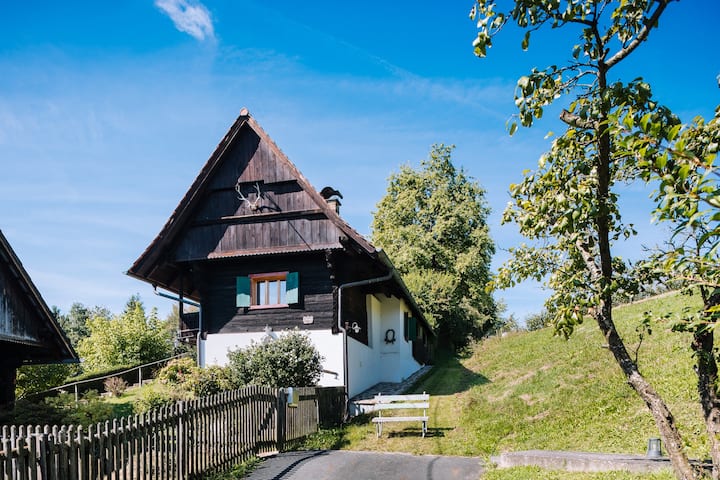 Schilcherlandleben - Farmhouse - Austria
