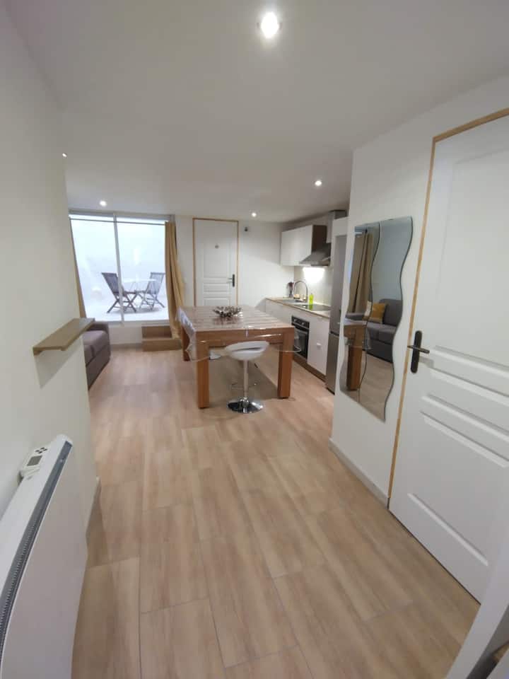 Studio, Rhône Et Montagnes ! - Seyssel