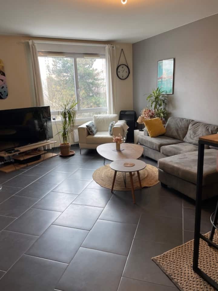 Appartement 2 Chambres Flachet - Bron
