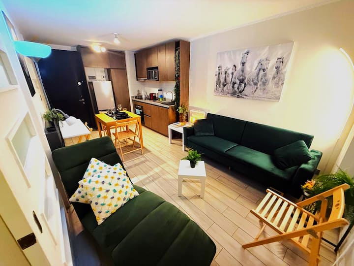 Cozy Apartment On Barrio Italia With A/c + Heat - Providencia