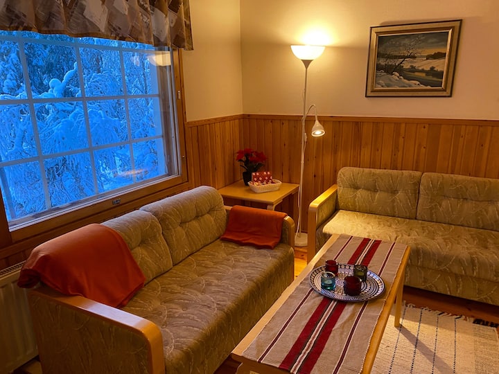 Cozy Mountain Hideaway - Saariselkä