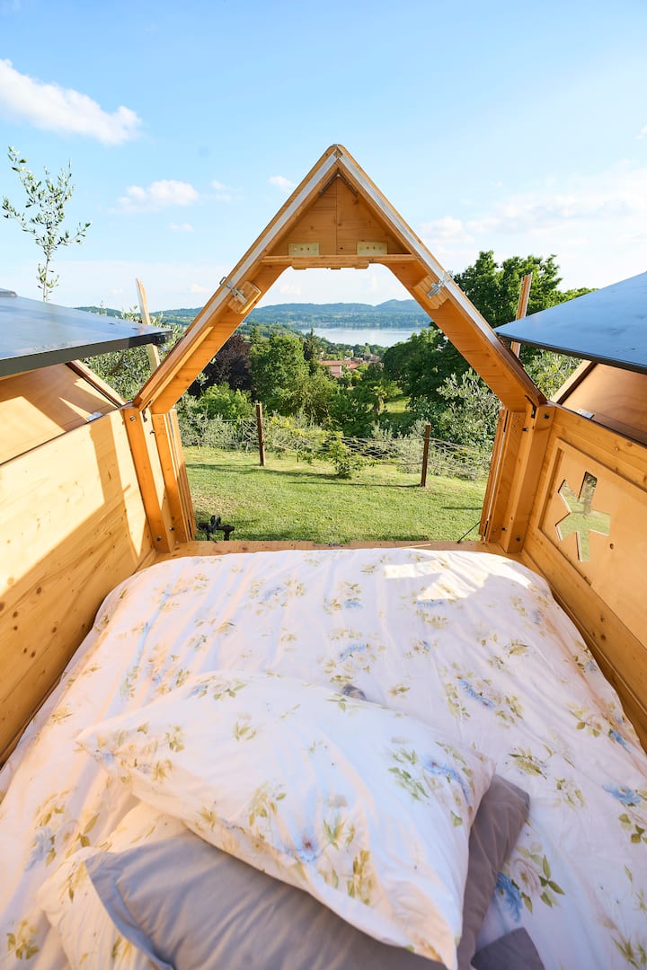 Starsbox 1000 Stelle E Coccole Nido Tra Gli Ulivi - Piémont