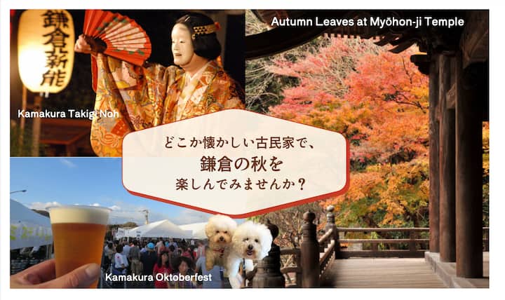 Fall Colors & Festivals｜kamakura Retro Home Sale - Kamakura