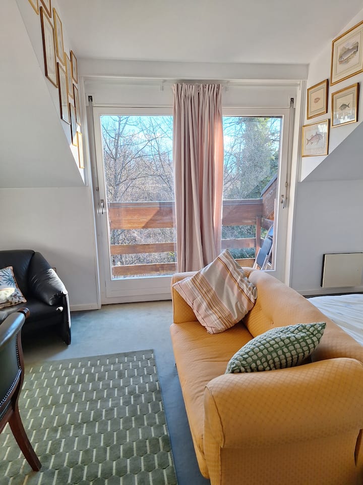 Room To Rent Short/longer Term - Lausanne