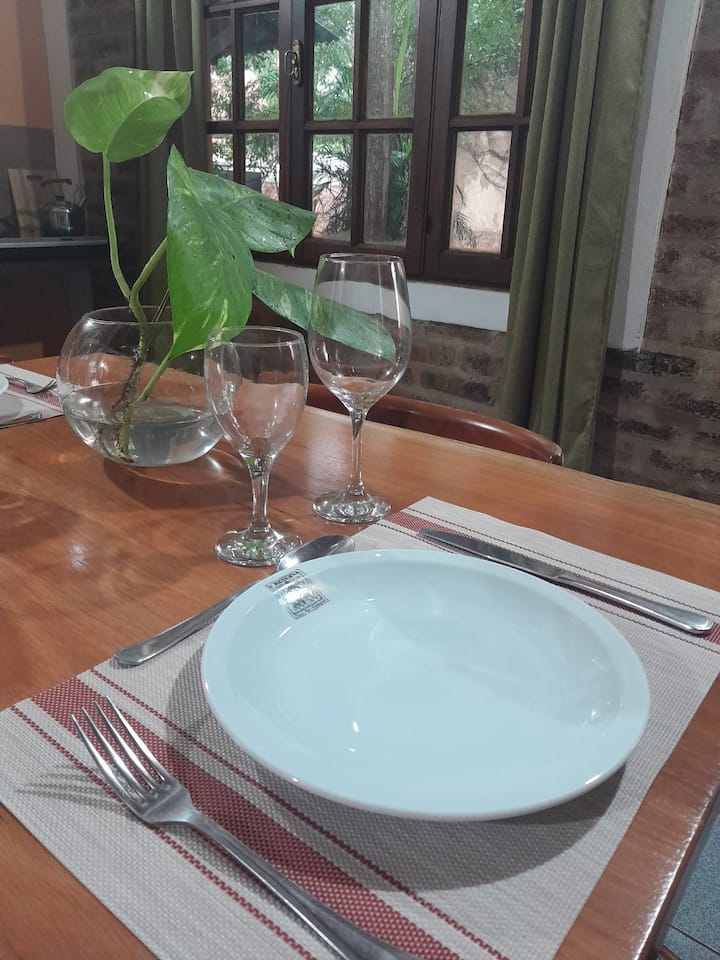 Loro Negro 2 - Misiones Province