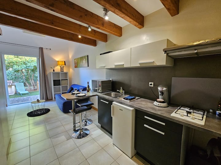 Gîtes L'escapade Des Flamants Roses : Les Palmiers - Vic-la-Gardiole