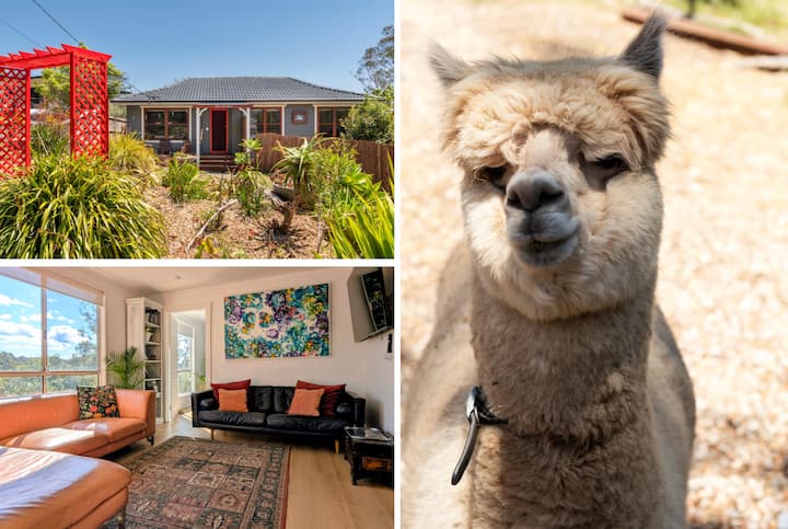 Blue Mountains Urban Farm Stay (Up To 5 Guests) - Sydney