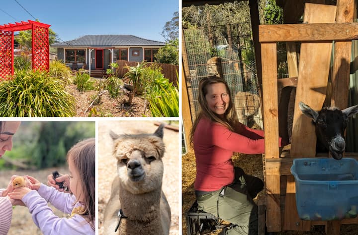 Blue Mountains Urban Farm Stay (Up To 5 Guests) - Blue Mountains