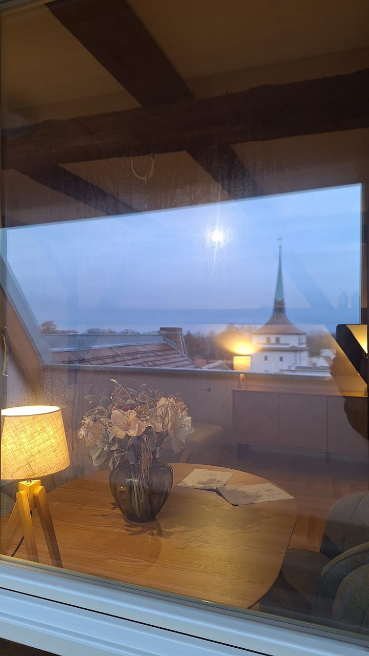 Stadtpalais Bellevue-suite 3 Zi. - Bautzen