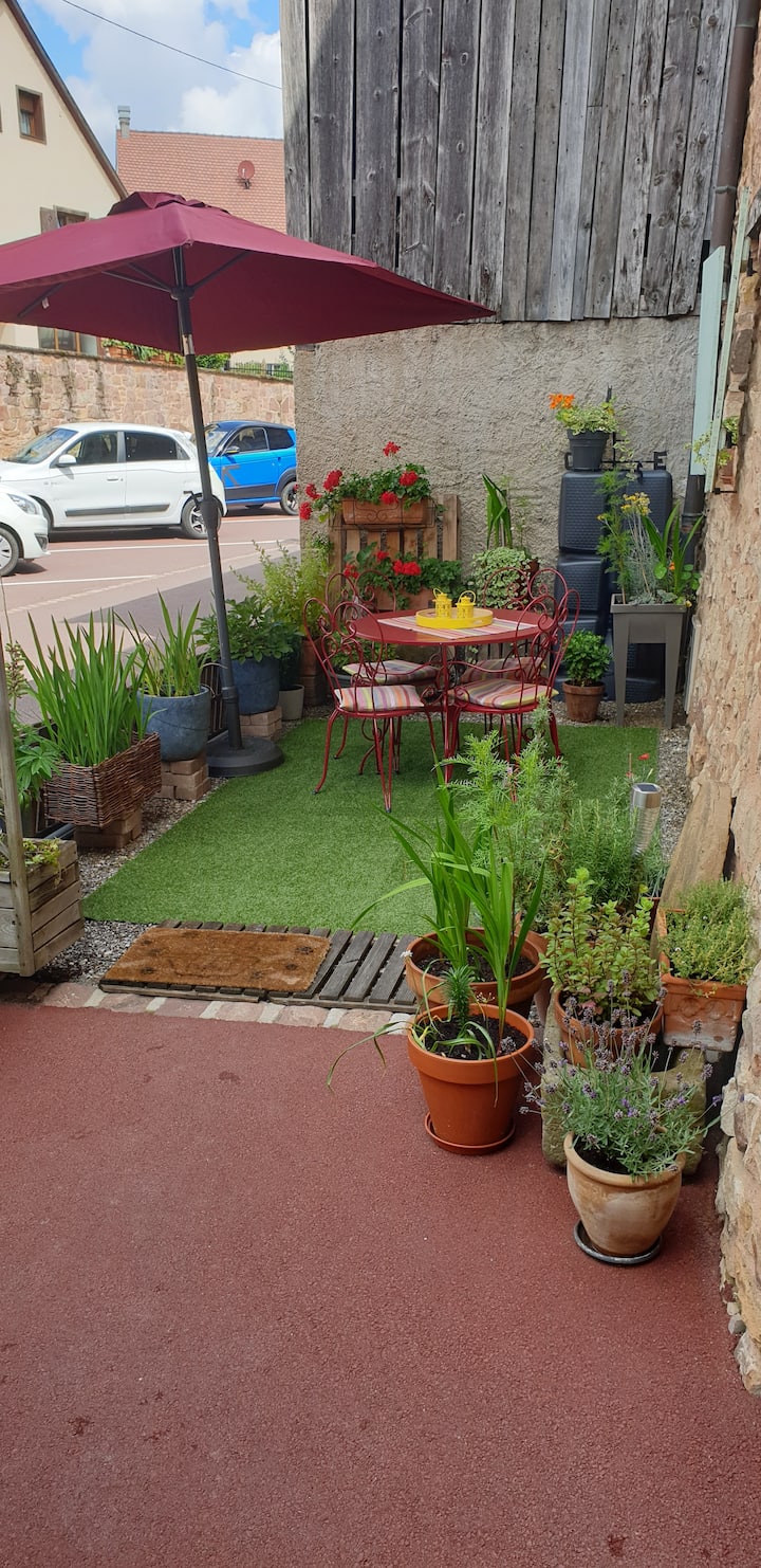 Séduisant Studio à Eguisheim Avec Petite Terrasse - Eguisheim