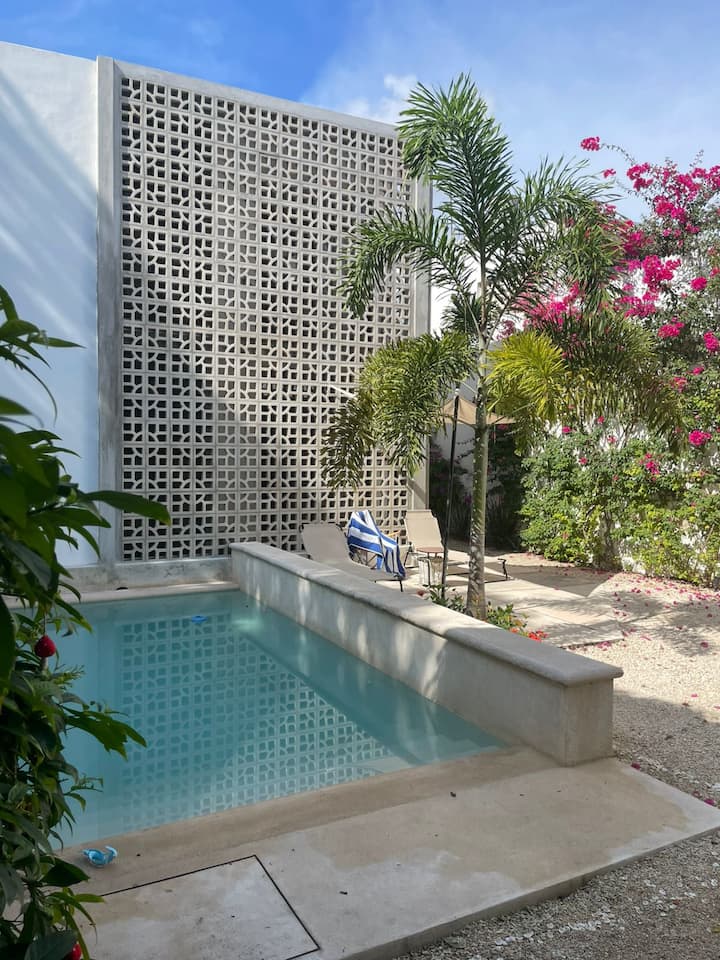 Juno | Estudio Con Piscina En Mérida - Yucatán