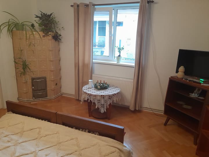 Emese Central Vintage Apartment- Mountain-feeling - Târgu Mureș