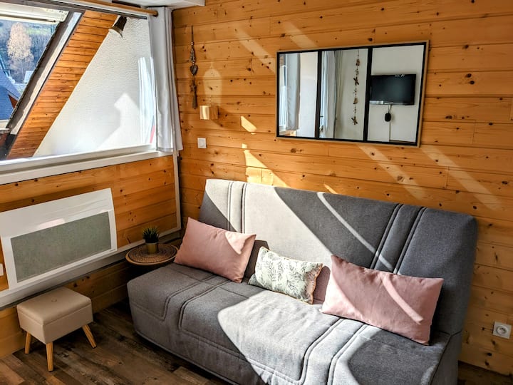 T2 Cabine Proche Centre, Saint-lary Village - Pic du Midi