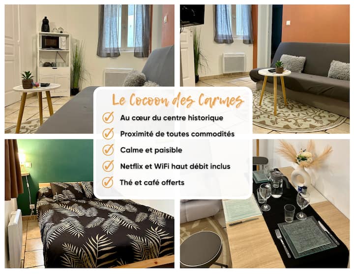 Le Cocon Des Carmes - Appartement Cosy Hypercentre - Avignone