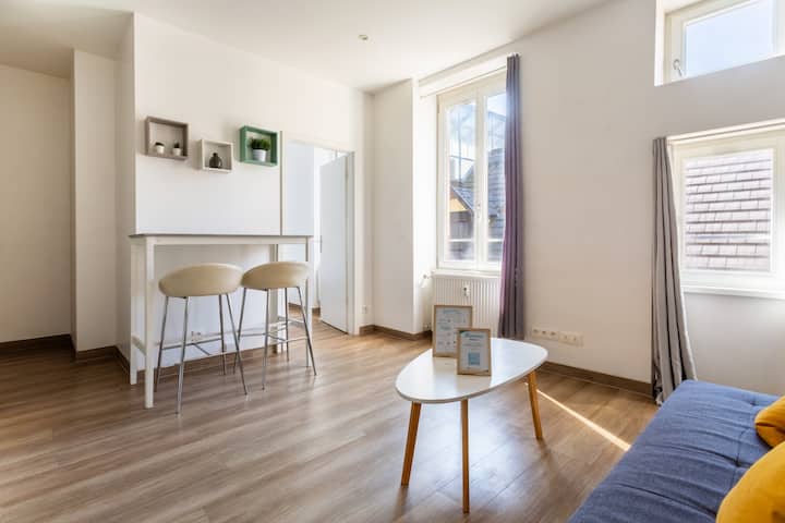 Thiergarten · Charming 2-room, 3-min Walk To The Train Station - Estrasburgo