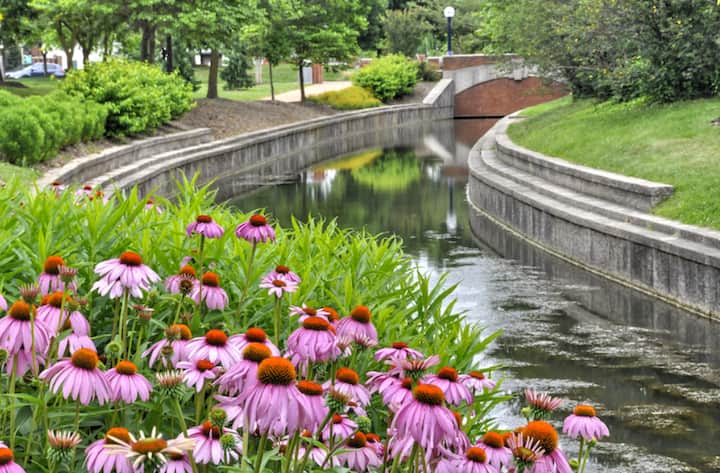 Relaxation Or Work 9mins To Downtown & Baker Park - Frederick, MD