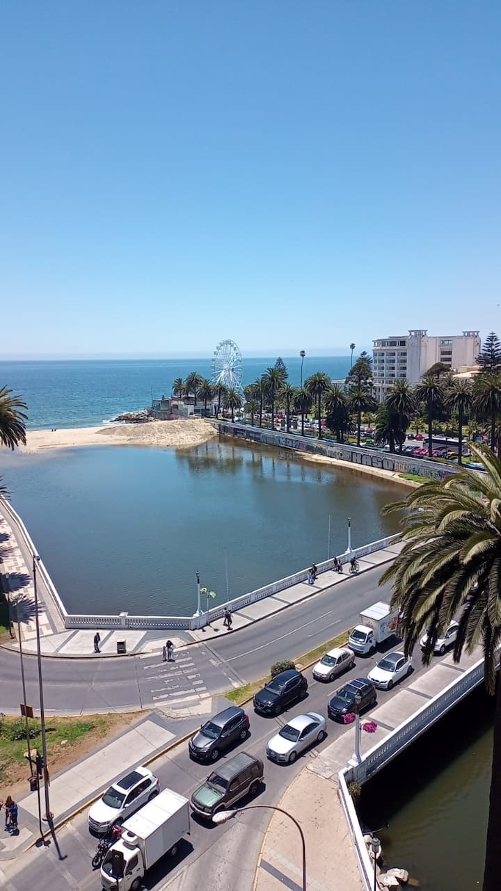 Hermoso Departamento 1 Dormitorio En Viña - Viña del Mar