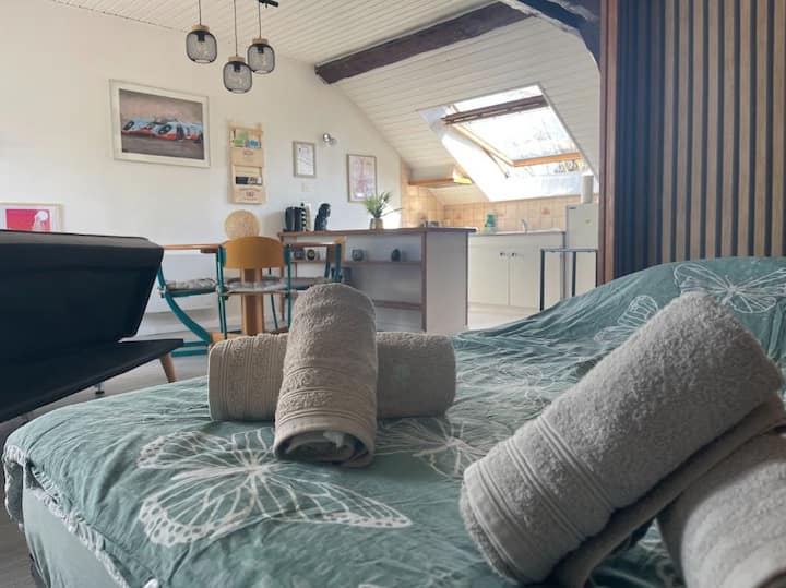 Studio Lumineux à 20 Min De Gérardmer - Sainte-Marguerite