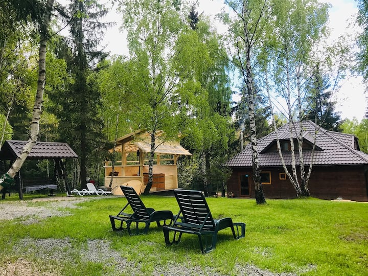 Cabana Din Padure Si Casuta Din Copac - Belis - Beliș