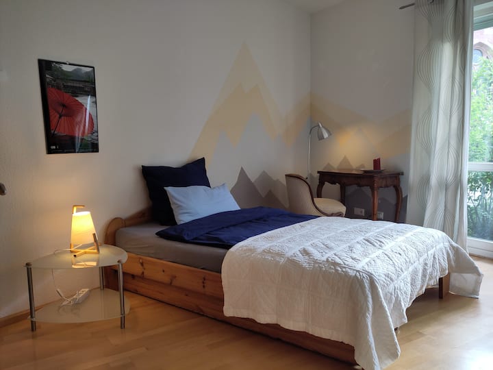 Gemütliches Zimmer In Der Wiehre - Fribourg-en-Brisgau