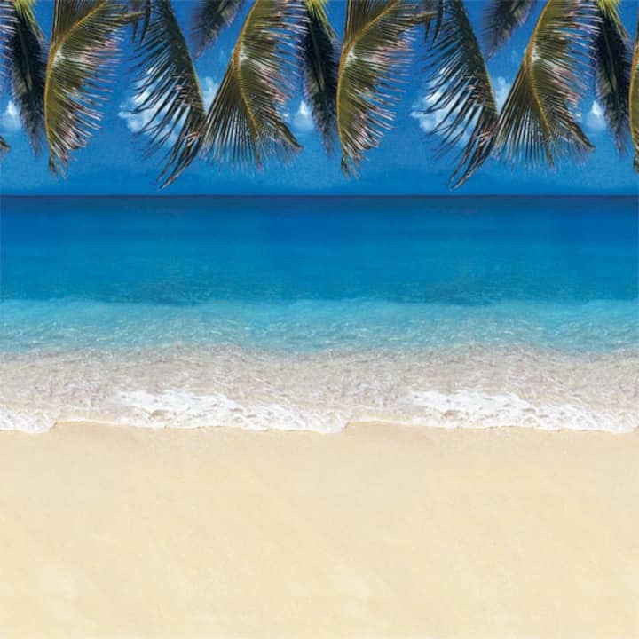50% Off Maui ~ Ka'anapali Beach For Whale Season! - Kapalua, HI
