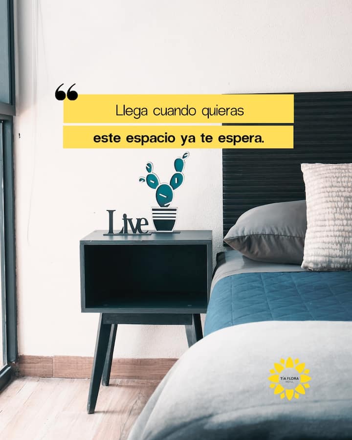 Suite Encantadora En Centro 202 - León