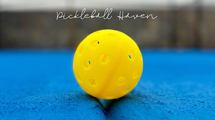 Las Cruces, New 4 Br Home, Pickle Ball, Vacation! - Las Cruces, NM