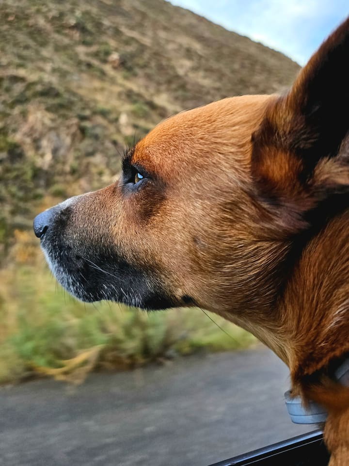 Casa De Patachin  (Cerca De Rosarito) - Rosarito